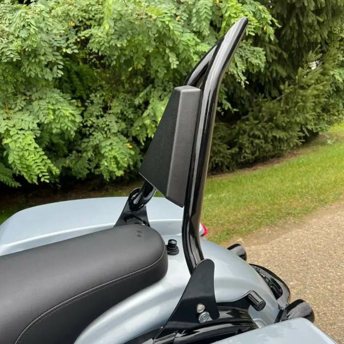 ハーレー、ツーリング用 HogWorkzシーシーバー｜ハーレーカスタムパーツ専門店