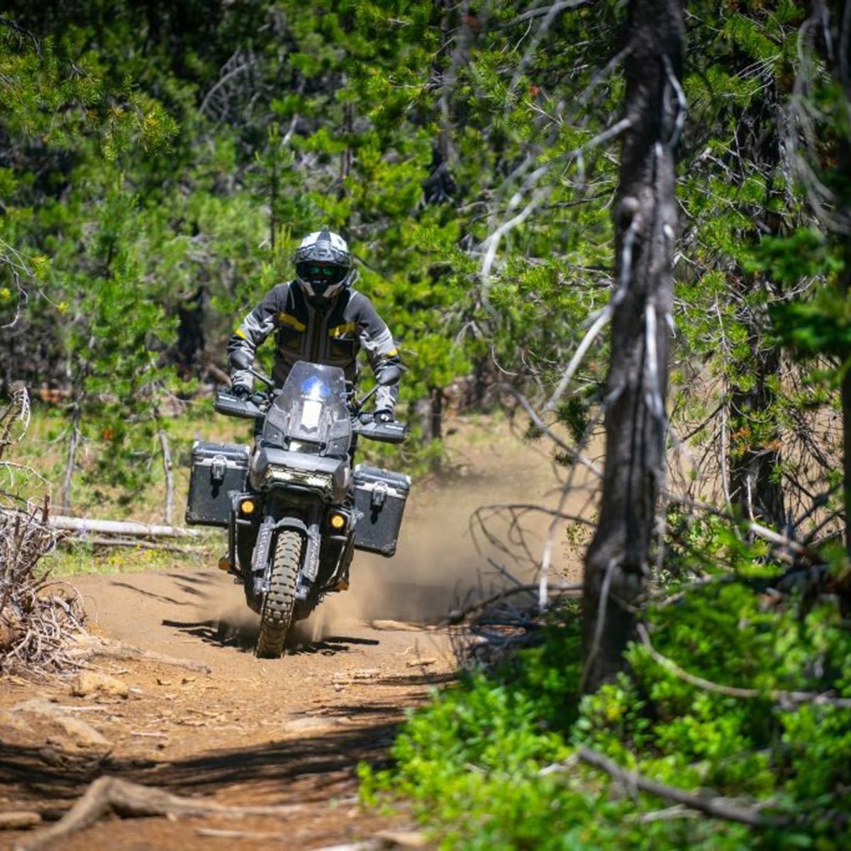 ハーレー、パンアメリカ用メンテナンスパーツ